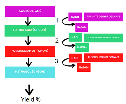 Update on IFRF-supported PhD project investigating the use of ...